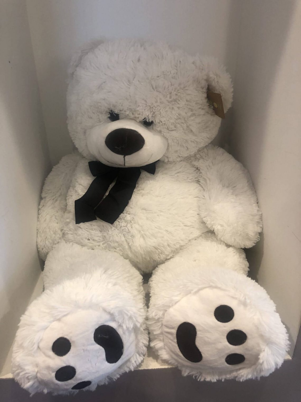 Different Teddy Bears Ideas for Gift Item with Images