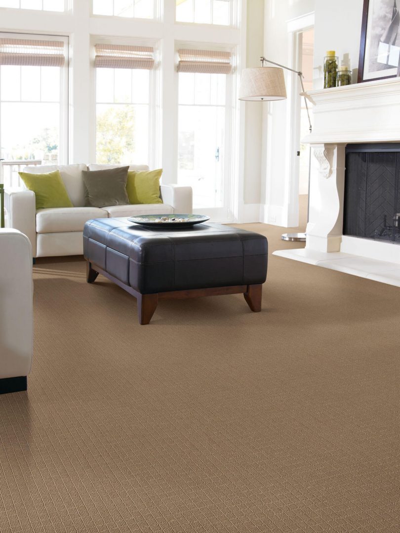 Berber Carpet Comfort And Durability Fit Your Living Room